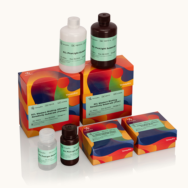 Western Blot Substrate Kits